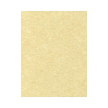 LUX 8 1/2 x 11 Cardstock, Gold Parchment, 1000 Pack (81211-C-41-1000 ...