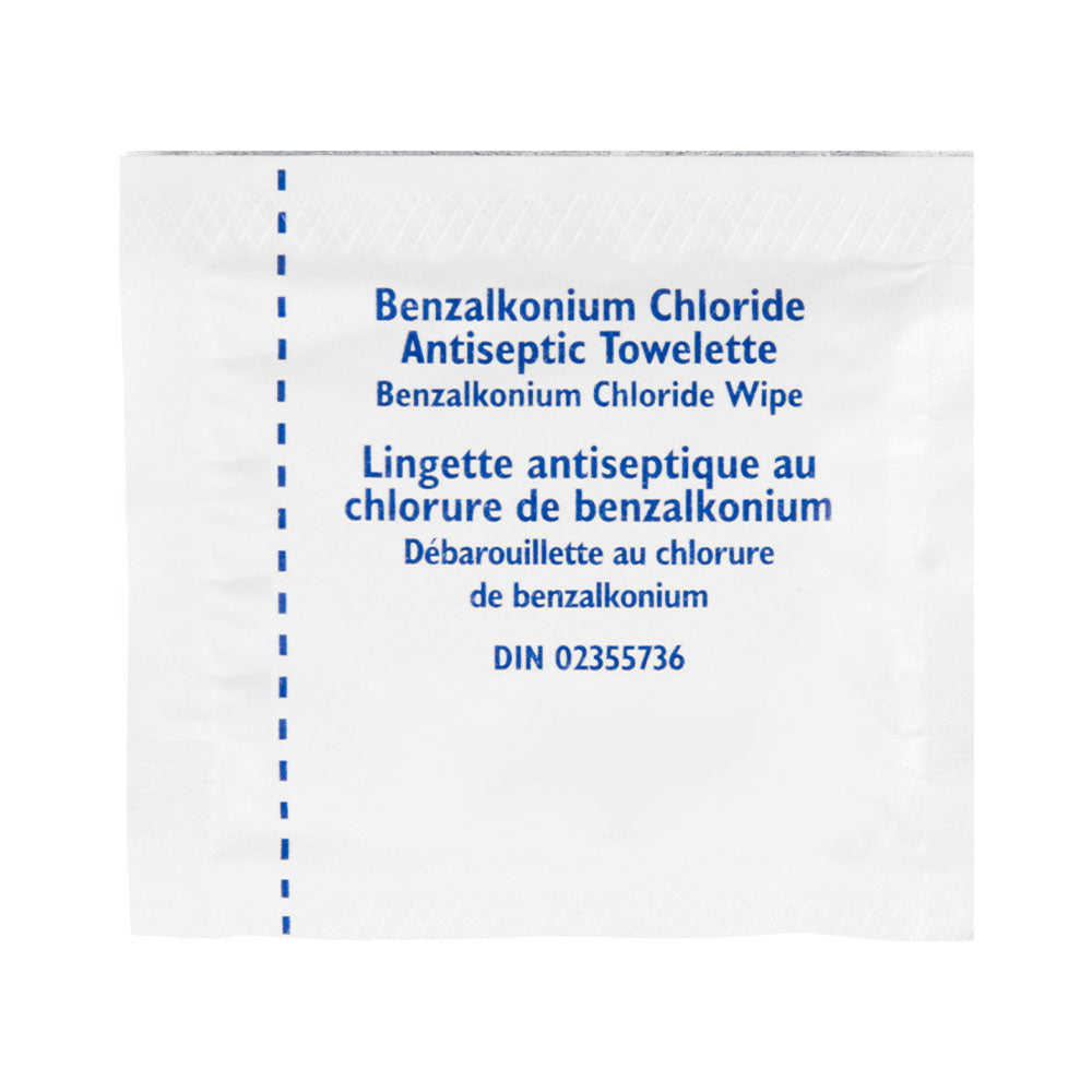 Wasip BZK Antiseptic Wipes - 10 Pack | staples.ca