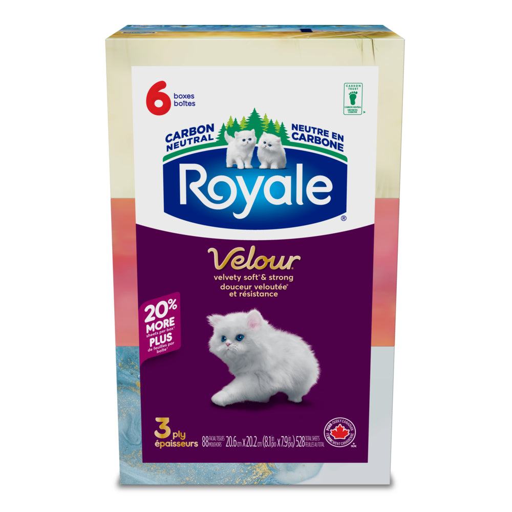 Royale Velour 3-Ply Facial Tissues - 88 Tissues/Box - 6 Pack | staples.ca