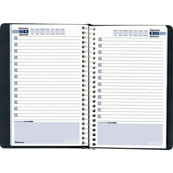 Blueline Daily Perpetual Date Book, 8" x 5", Bilingual | staples.ca